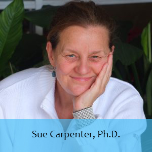 Sue Carpenter | Reach Out Arts